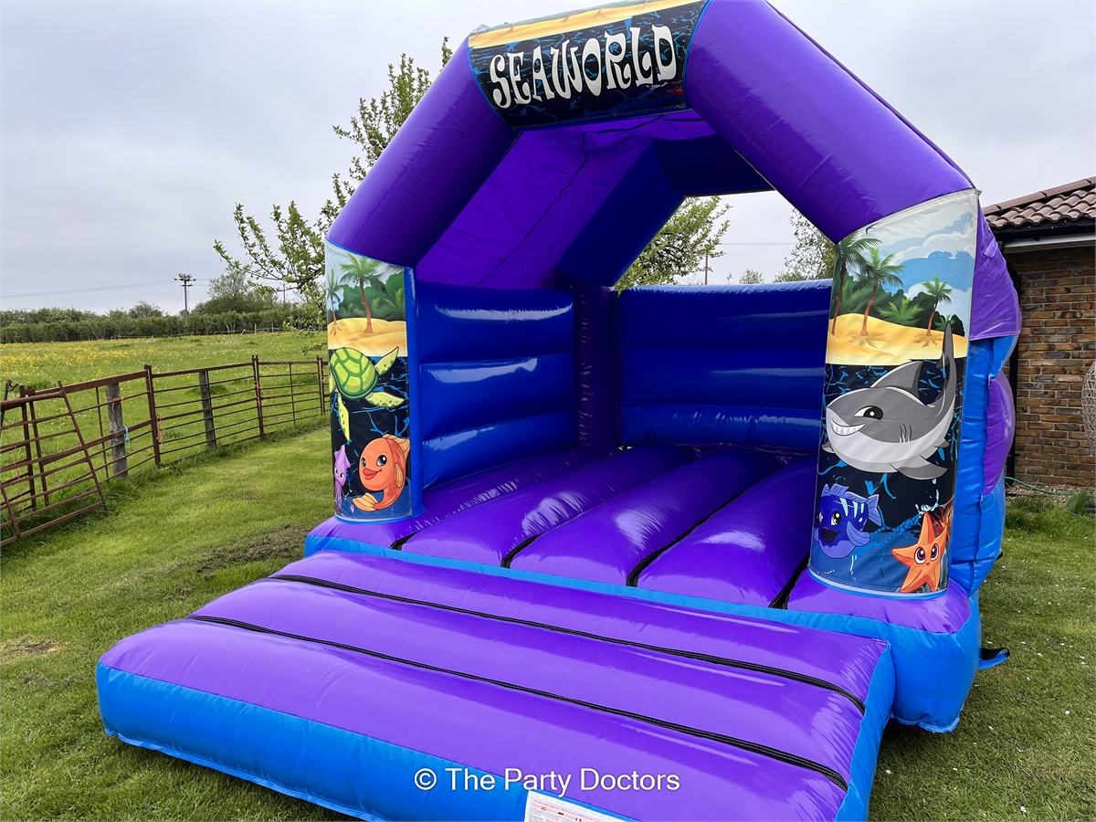 Blue & Purple Small Gloss Selectable Theme Castle - Bouncy Castle ...